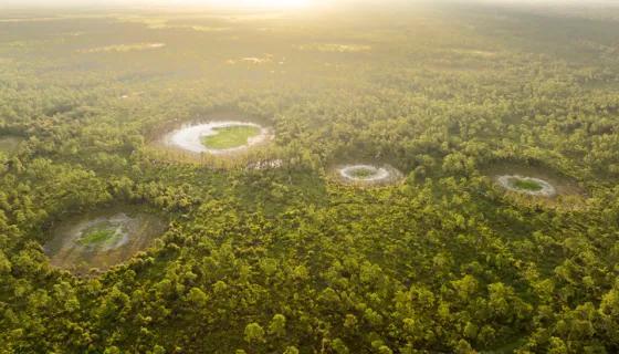 Florida Building “Alligator Alcatraz” Prison For Migrants - NewsBreak