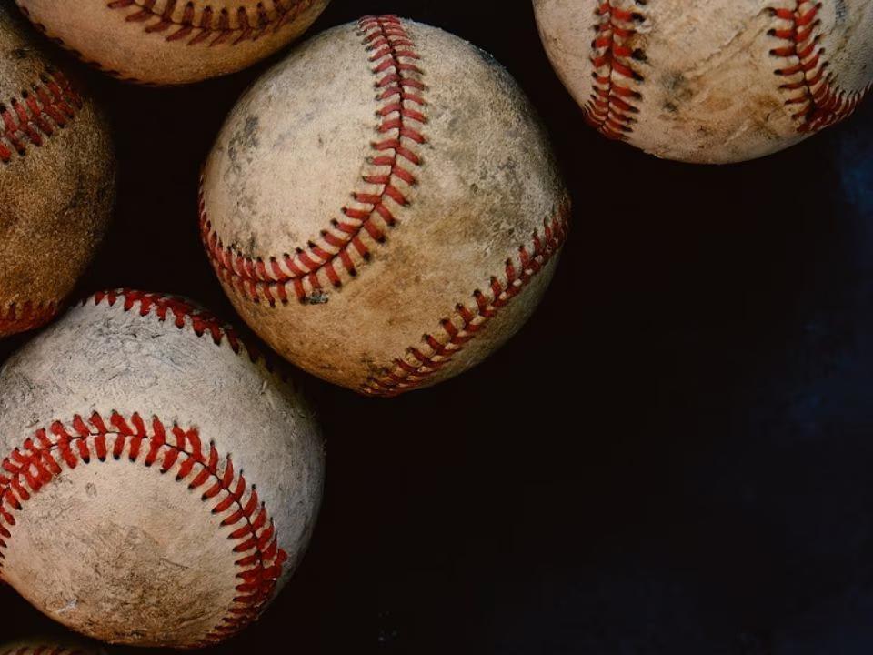 Great catch! Dog snags home run ball during spring training game