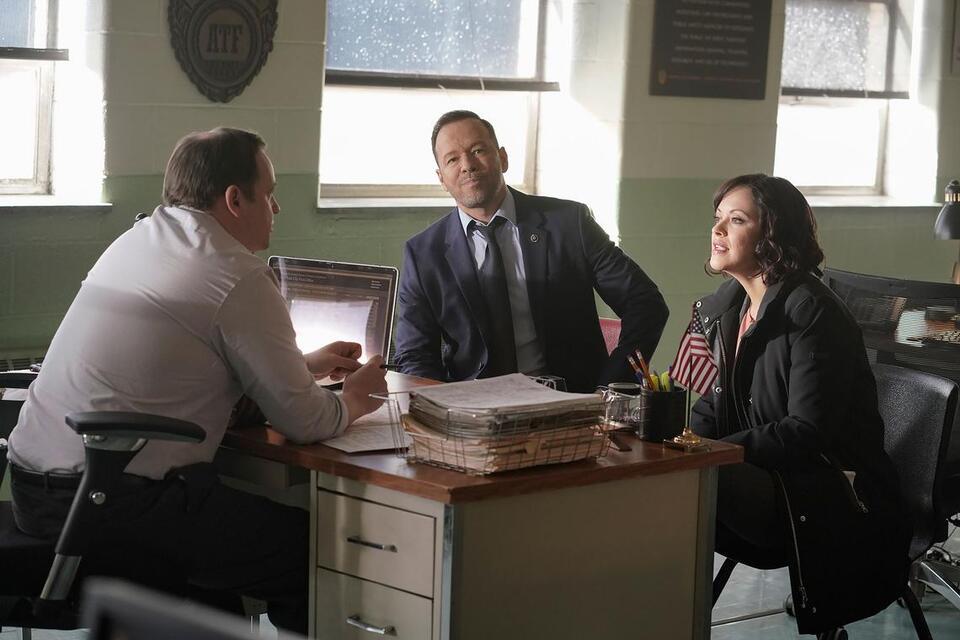 Blue Bloods' Danny Reagan and Maria Baez's Relationship Timeline ...