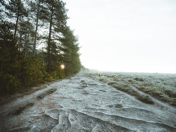 Bath Weather Forecast 2021-02-13