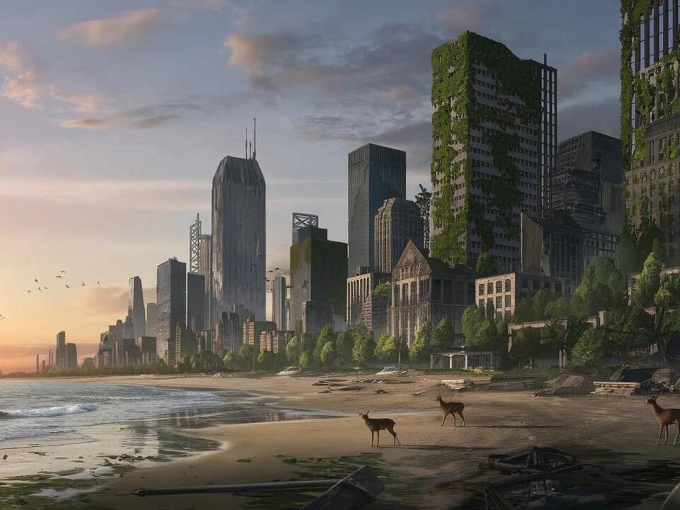 If Humans Go Extinct, This Is the Species That Will Take Over the Earth