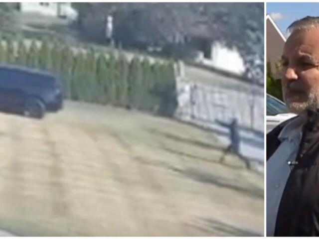 Sheriff: Bird poop helped investigators track suspect in shooting of ...