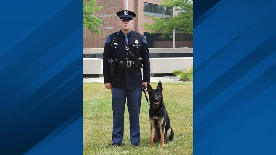 State police canine team successfully locates hit-and-run suspect ...