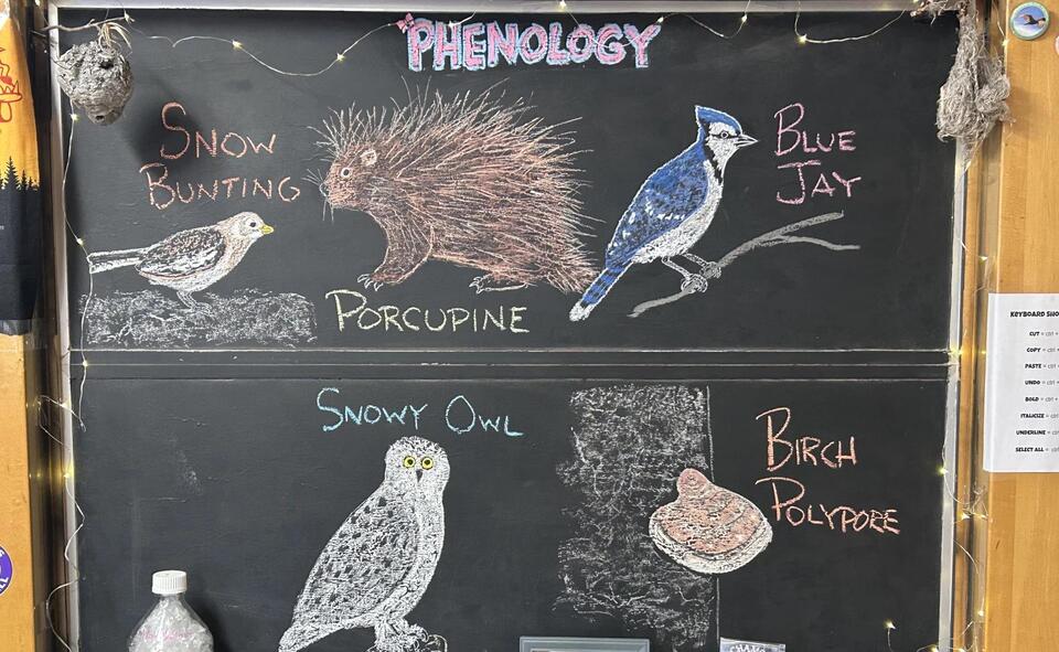 The habits of rabbits leave deep paths in the snow - NewsBreak