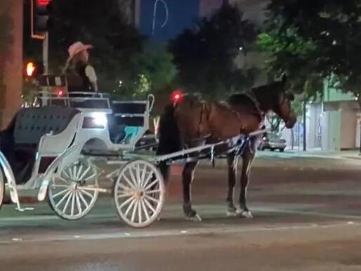 Horse-drawn carriages can continue to operate in Dallas — for now