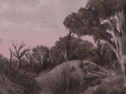 First Intact Skull Of Australia’s Terrifying Extinct “Giga-goose” Revealed