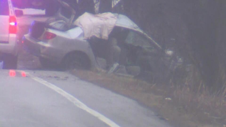 Carmel man identified as victim killed in Mount Pleasant fallen tree ...