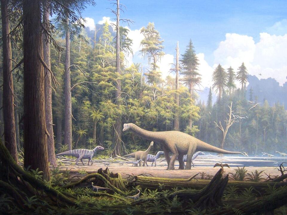 How Dinosaurs Breathed: Inside Their Unique Lungs - NewsBreak