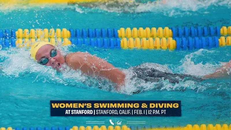 Bears Take on Cardinal: Top Swim Teams Meet in Rivalry Showdown - NewsBreak