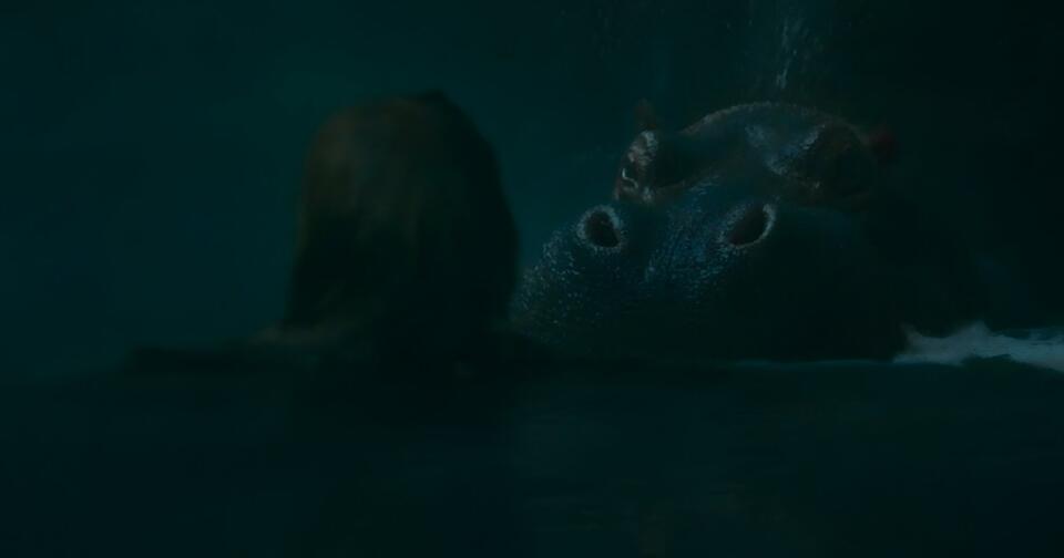 Hippo Horror Movie Hungry Gets Twisted Trailer - NewsBreak