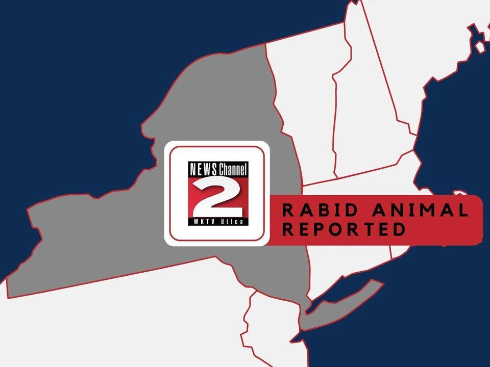 Rabid Skunk Attacks Livestock in Litchfield