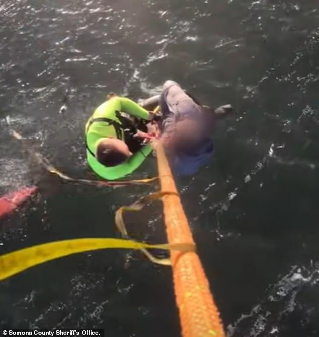 California woman meets tragic end after suffering freak accident while ...