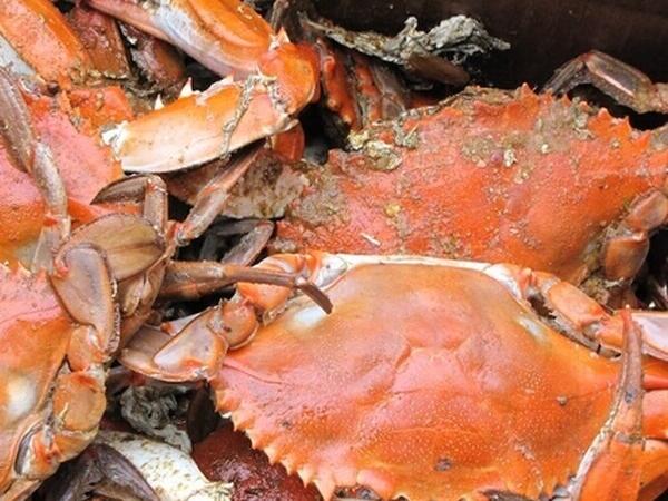 A Guide to Delaware's Best Crab Shacks