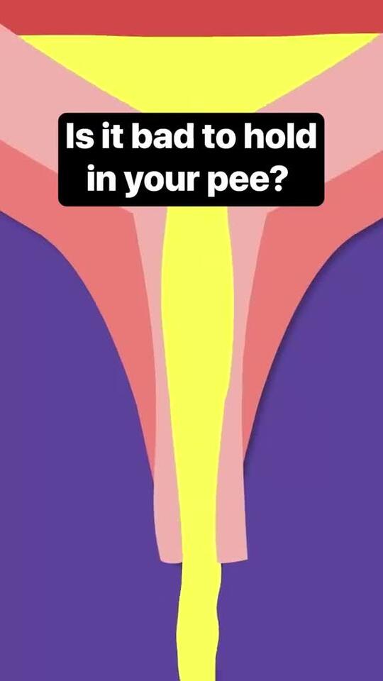 Your external sphincter muscles run the risk of being stretched when ...