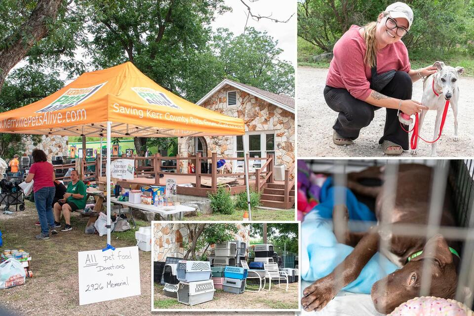 Texas animal rescue group helps ‘influx’ of missing dogs and cats as ...