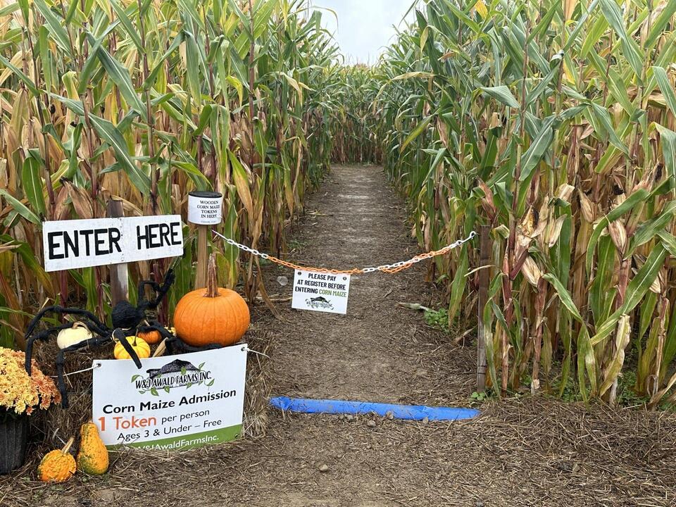 The Best Corn Mazes In Western New York - NewsBreak