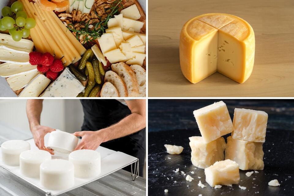 Maine Creameries Shine At World Cheese Awards This Year - NewsBreak