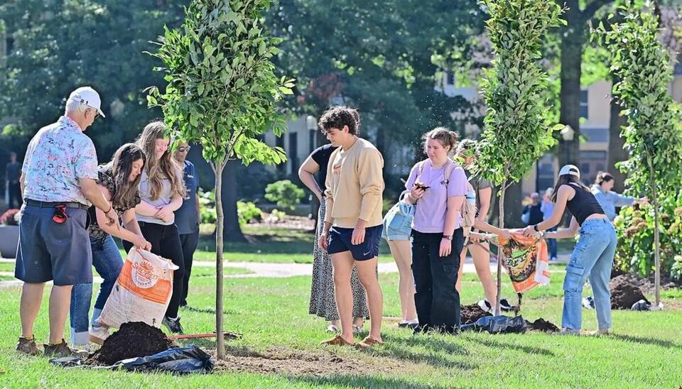 College of Wooster plants native black gum trees to restore campus ...