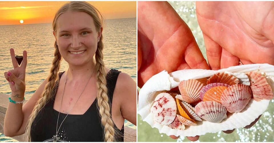 6 Seashell Hunting Tours That'll Take You To Some Of The Best Spots In ...