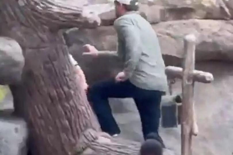 JD Vance's 'dad run' ruthlessly mocked as vice president 'prances after ...