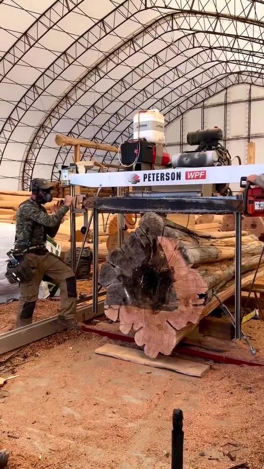 Guillotine cutting a massive character log - NewsBreak