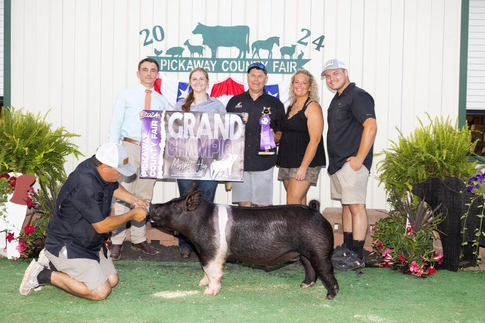 Pickaway County Jr. Fair Market Swine Show Winners - NewsBreak