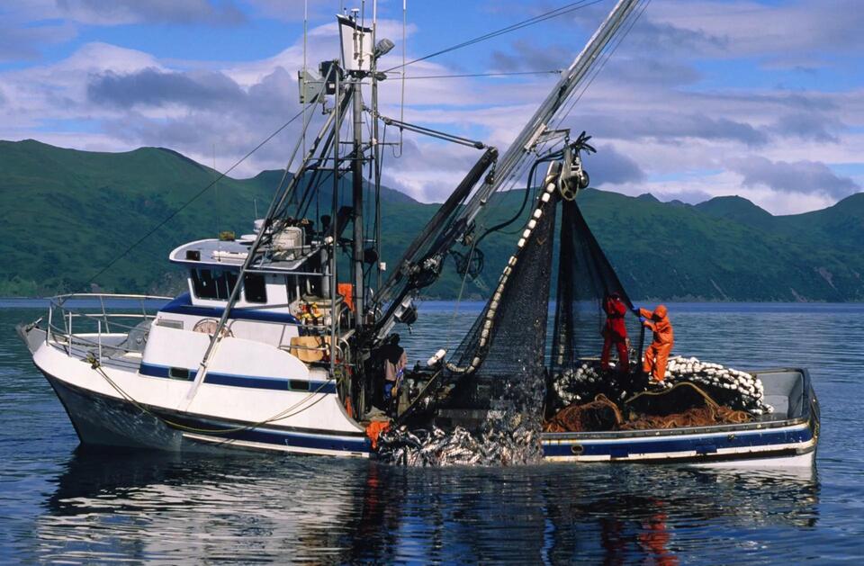 Scientists raise alarms after discovering major threat to food chain ...