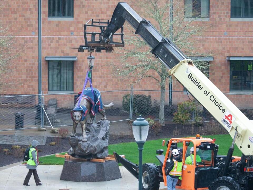 Butch the Cougar sculptures make their way across Washington