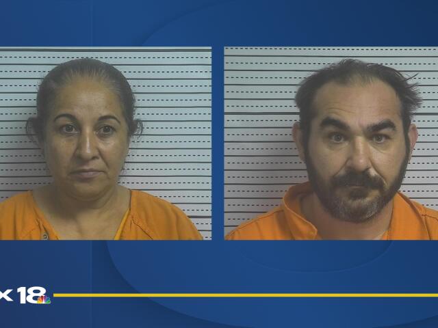 2 arrested, charged following theft at Lowe's in Danville, police ...