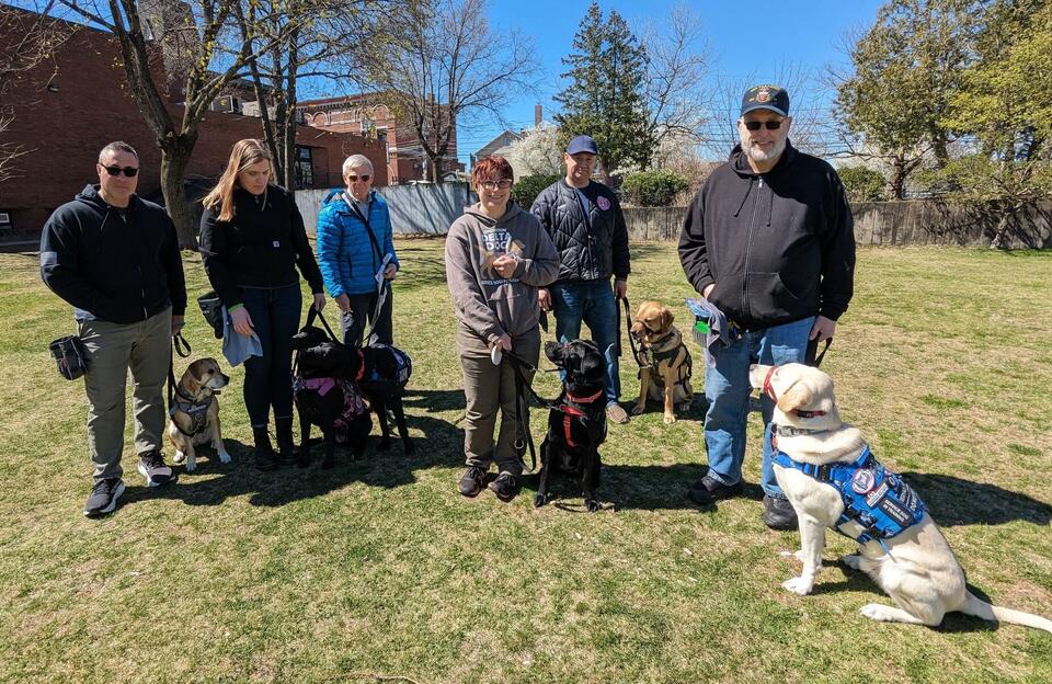 Operation Delta Dog: Pairing rescue dogs with veterans struggling with ...