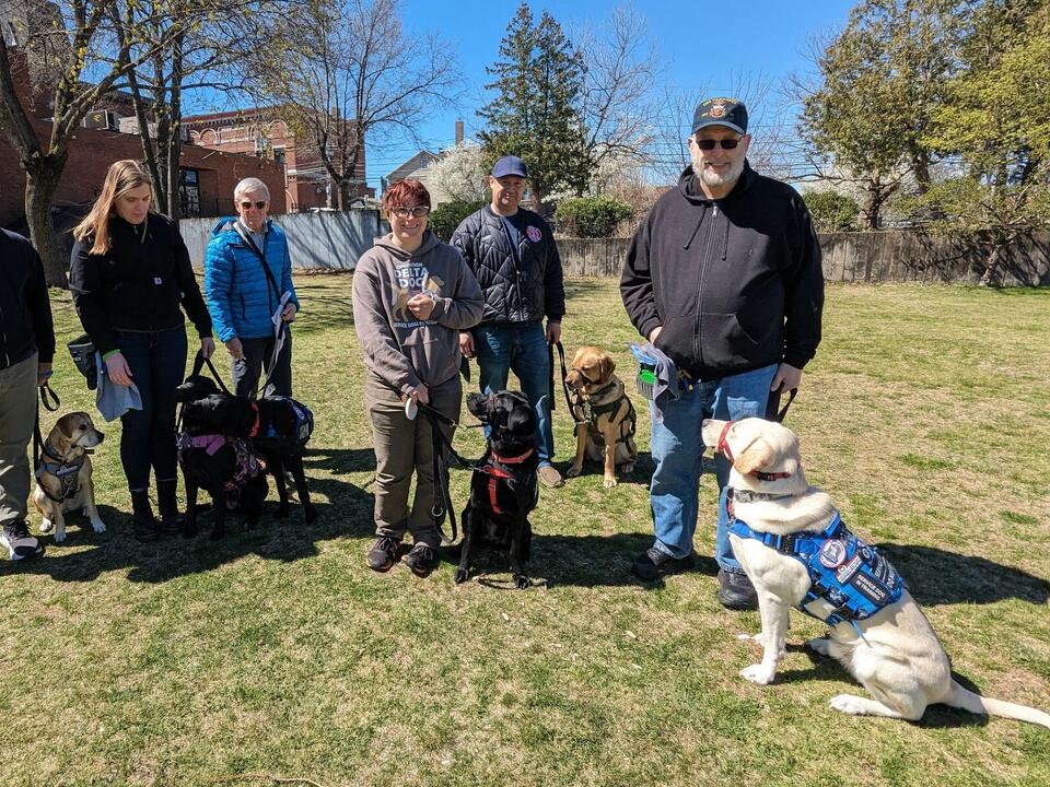 Operation Delta Dog: Pairing rescue dogs with veterans struggling with ...