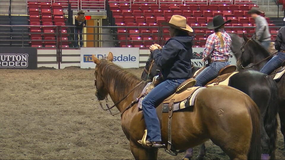 Equine herpes outbreak spreads in Texas, urgent warnings across the ...