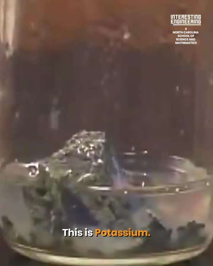Potassium is a soft, spreadable metal that oxidizes when exposed to the ...