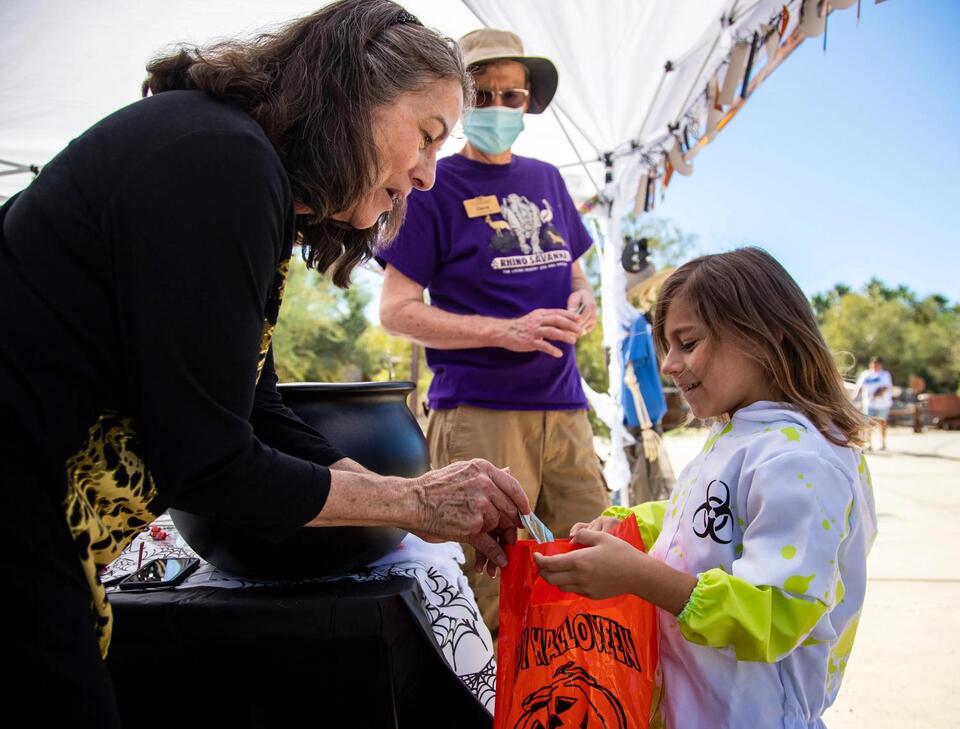 Things to do in Palm Springs this week include a golf parade, fall fest ...