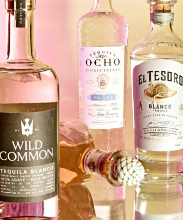 The 8 Best Alternatives to Tequila Fortaleza - NewsBreak
