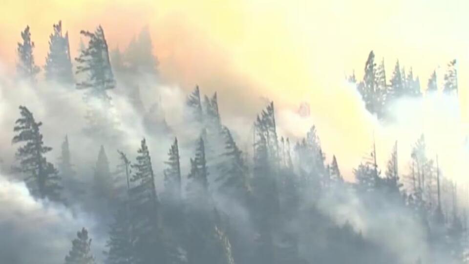 Global carbon emissions hit record high, scientists warn of worsening ...