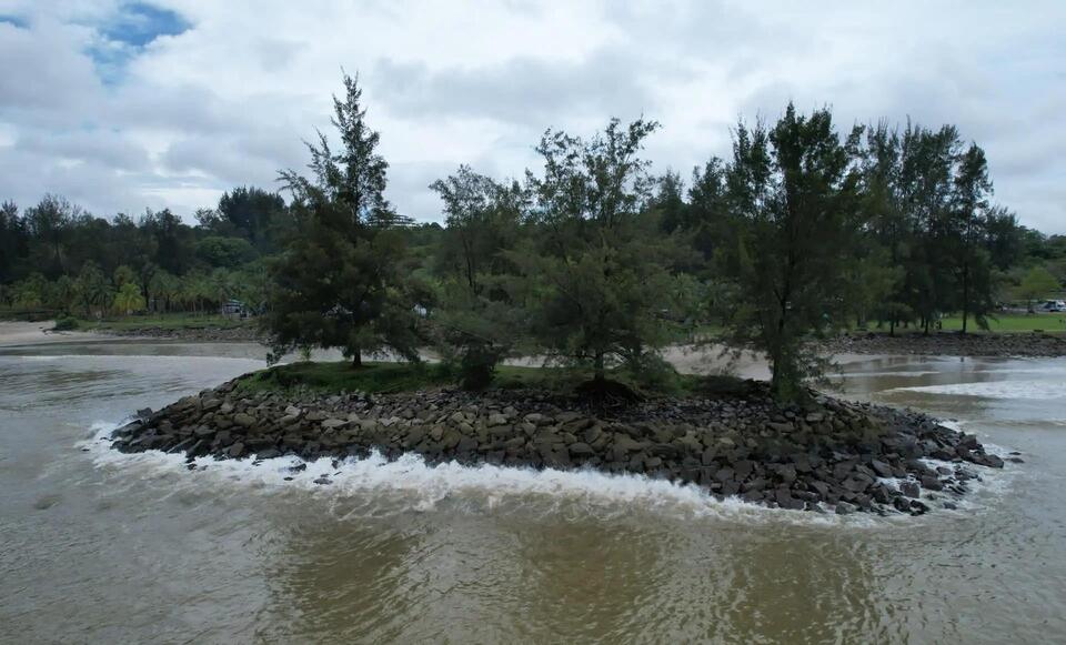 Researchers make world-first discoveries on tiny rock island: 'Wild ...