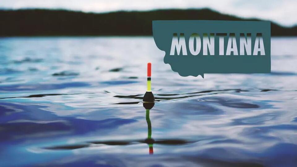 MT Train Crash Effects Still Found In Yellowstone River Fish - NewsBreak