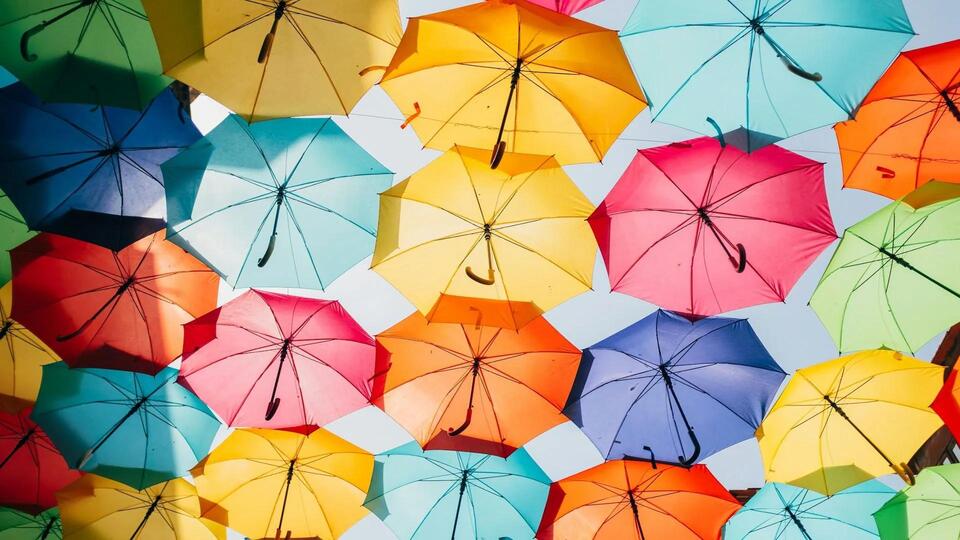 15 Umbrella memes to celebrate National Umbrella Day! - NewsBreak