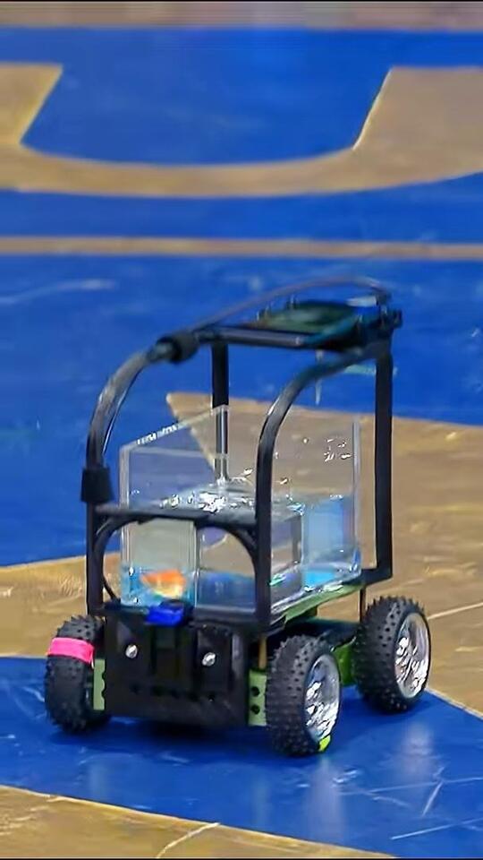 Watch: Goldfish drives custom-built car a record distance in one minute ...