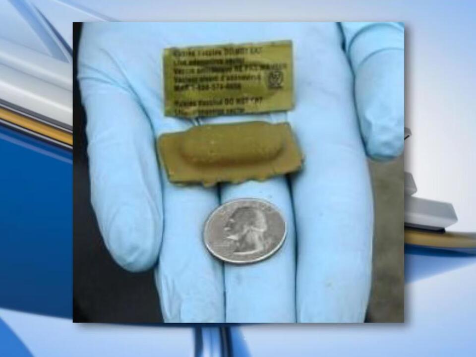 St. Lawrence County rabies bait drop coming soon