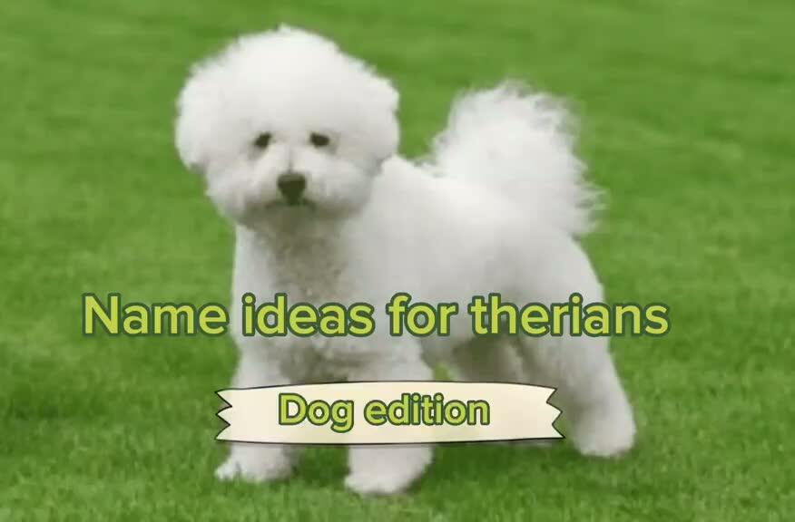 therian famous theriotype animals theriantiktok theriansafeplace CapCut ...