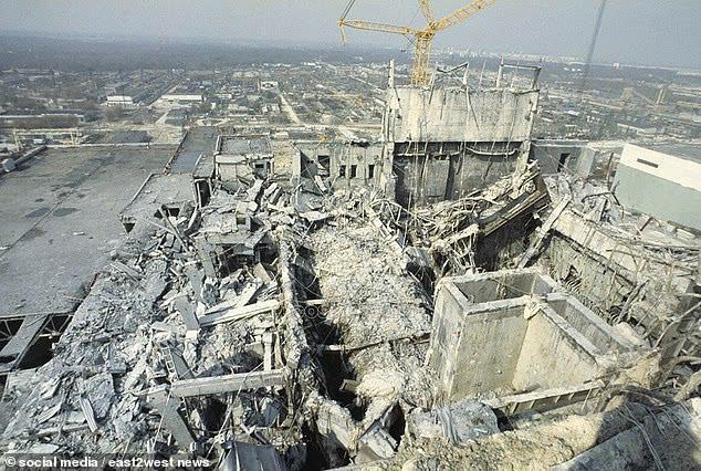 Species in Chernobyl disaster zone is mutating to feed on nuclear ...
