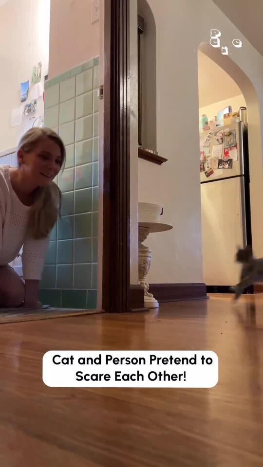 Imagine how dull life would be without animals 🥹💕🐾 (Via - Natalie B ...