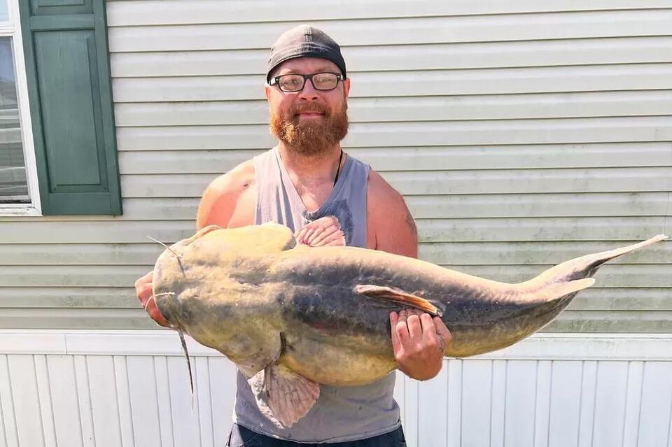 Angler Shoots Massive Flathead Catfish, Sets New Michigan Record ...