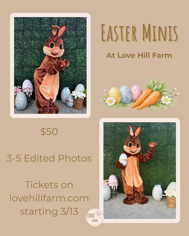 Easter Minis tickets now on sale at Love Hill Farm - NewsBreak