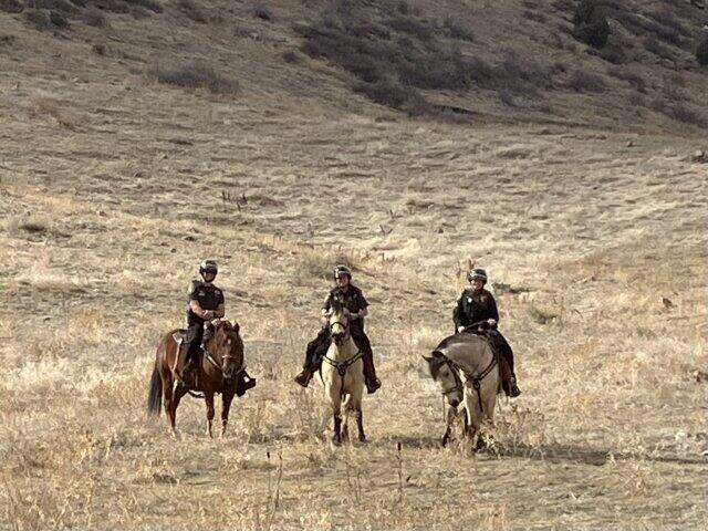 Human remains found on east side of hogback along Rooney Road in Jeffco ...
