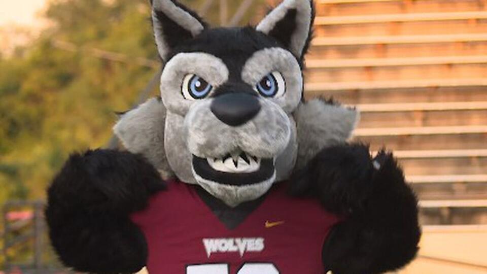 Dothan City Schools launches new Wolfpack branding - NewsBreak