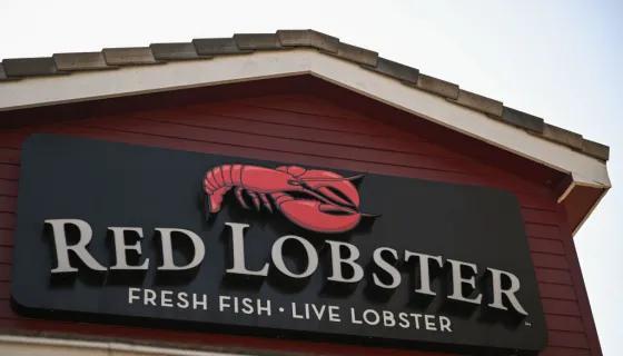 Red Lobster’s 35-Year-Old CEO Damola Adamolekun Leads Company Out of ...