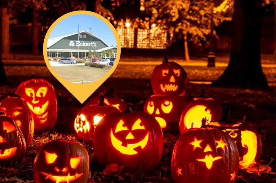 Experience Halloween Magic with Jack’s Lighted Trail at Eckert’s Farm ...